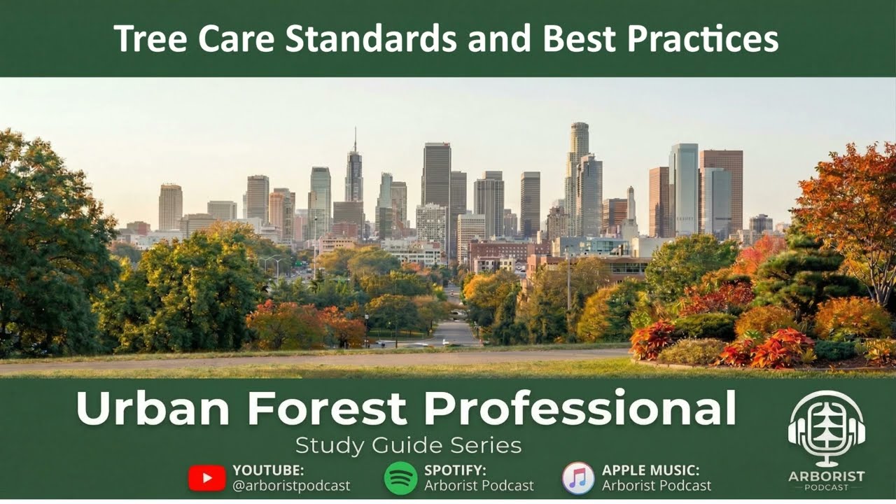 Tree Care Standards Explained: ANSI A300 and Best Management Practices (Ep.51) #TreeCareStandards