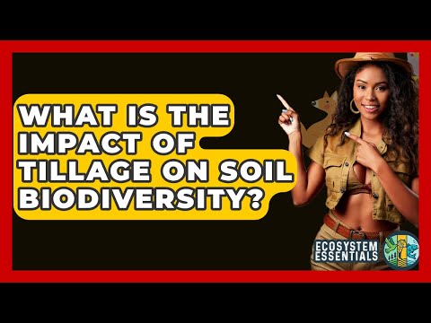What Is The Impact Of Tillage On Soil Biodiversity? - Ecosystem Essentials