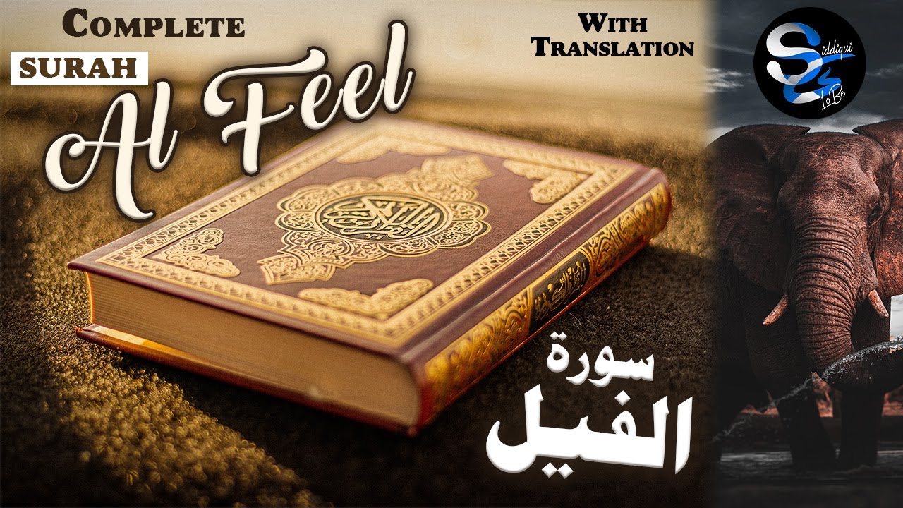 Surah Al Feel Complete with Translation سورۃ الفیل Quran Recitation ...