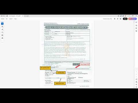 Form I-797 Explained by an Immigration Lawyer | Manifest Law