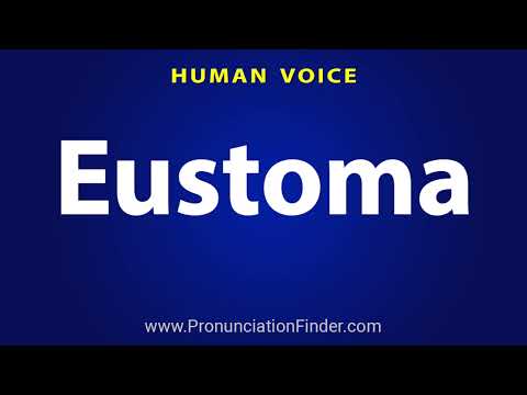 How To Pronounce Eustoma