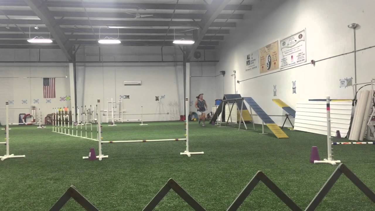 Shadow agility class