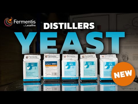 Making High-Quality Distillate with Different Yeast Strains