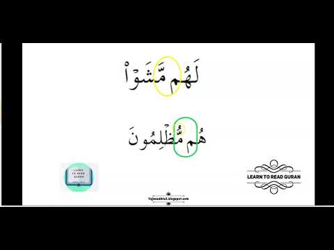 Basic Tajweed - Meem Sakinah Rules