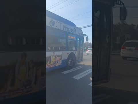 CT Transit 2018 new flyer XD40 #1850 route 238