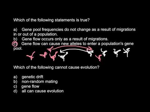 Definitions of Genetic drift and Gene flow