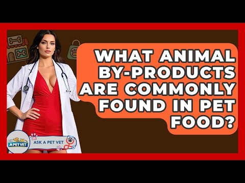 What Animal By-products Are Commonly Found In Pet Food? - Ask A Pet Vet