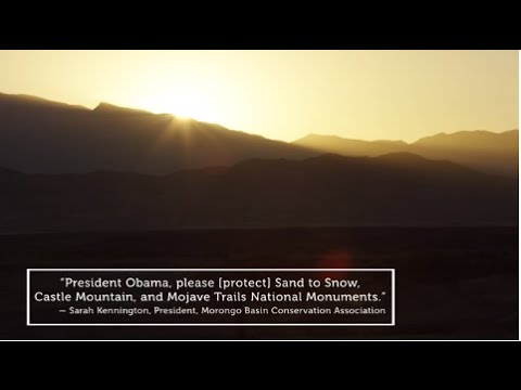 California's Mojave Trails: Desert Protections "Important for Wildlife"