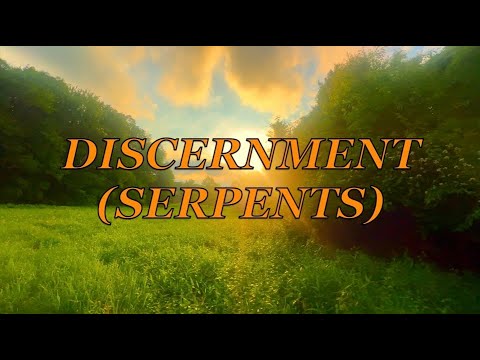 Discernment (Serpents) by AJ Ferreira Music Official Music Video (SSV8: THE WARFARE - OUT 7/4/2025!)