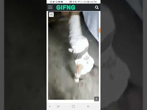 Funniest gif ever