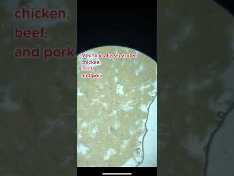 Vienna Sausage Under The Microscope #shorts