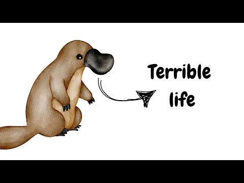 Why It Sucks to Be Born as a Platypus