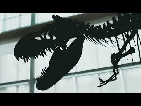 The Cretaceous 'Baby Dooly': Unique Juveni... | Gaya One