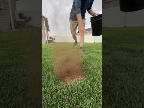 Grass seed. Peat moss. Water.