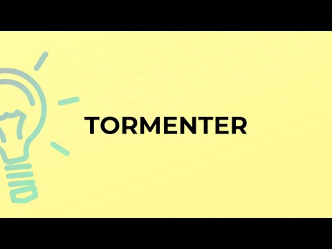 What is the meaning of the word TORMENTER?