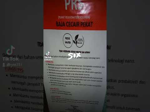 Kelebihan DOLOMITE.POKOK REMBUTAN TIDAK PUTUS DARI SEBELUM BULAN RAMADHAN SEHINGGA KINI 03.12.02