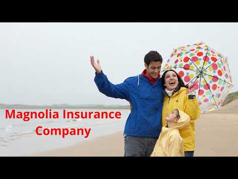 Christian Insurance Company in Magnolia, TX