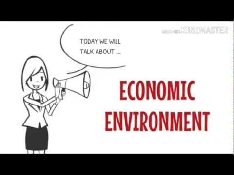 Economic Environment.