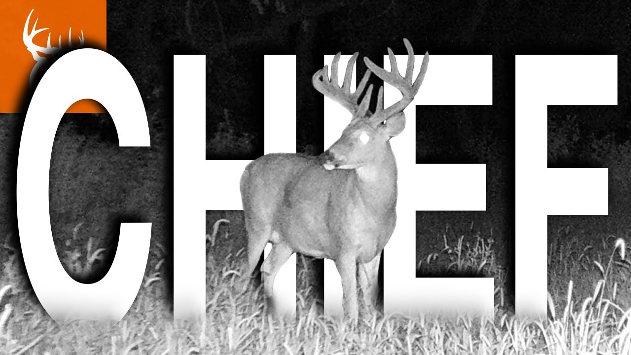 IT'S A MIDWEST MADHOUSE | The Chief Chase | Buck Commander