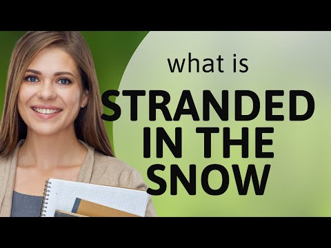 Stranded in the Snow: A Survival Tale