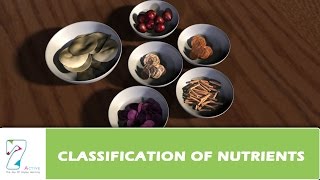 Classification of Nutrients | Pearson+ Channels