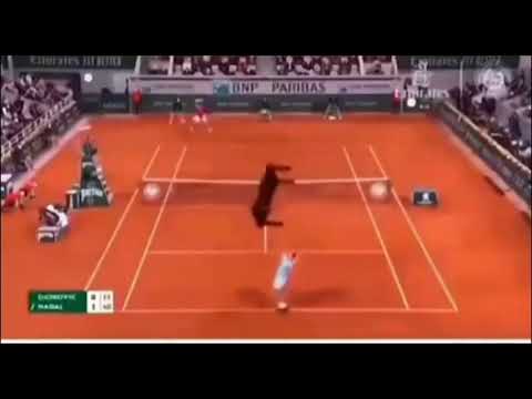 The definition of table tennis- ping pong