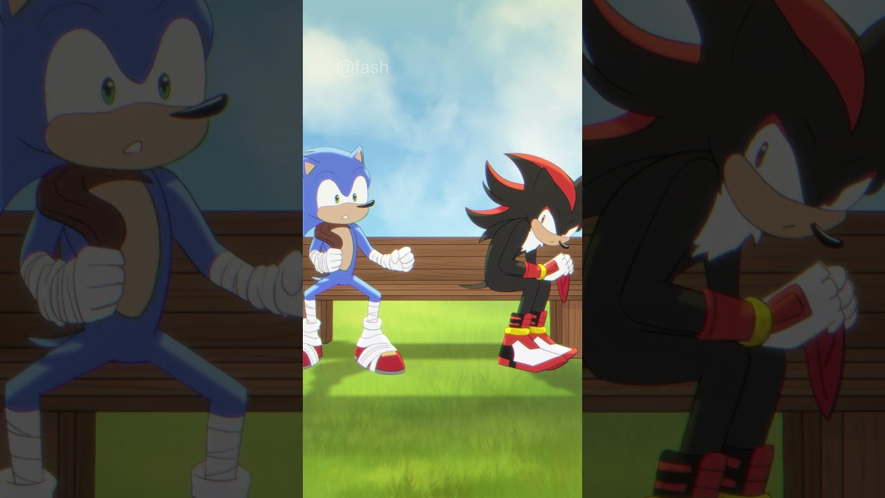 POV Sonic and Shadow (Hedgehog)