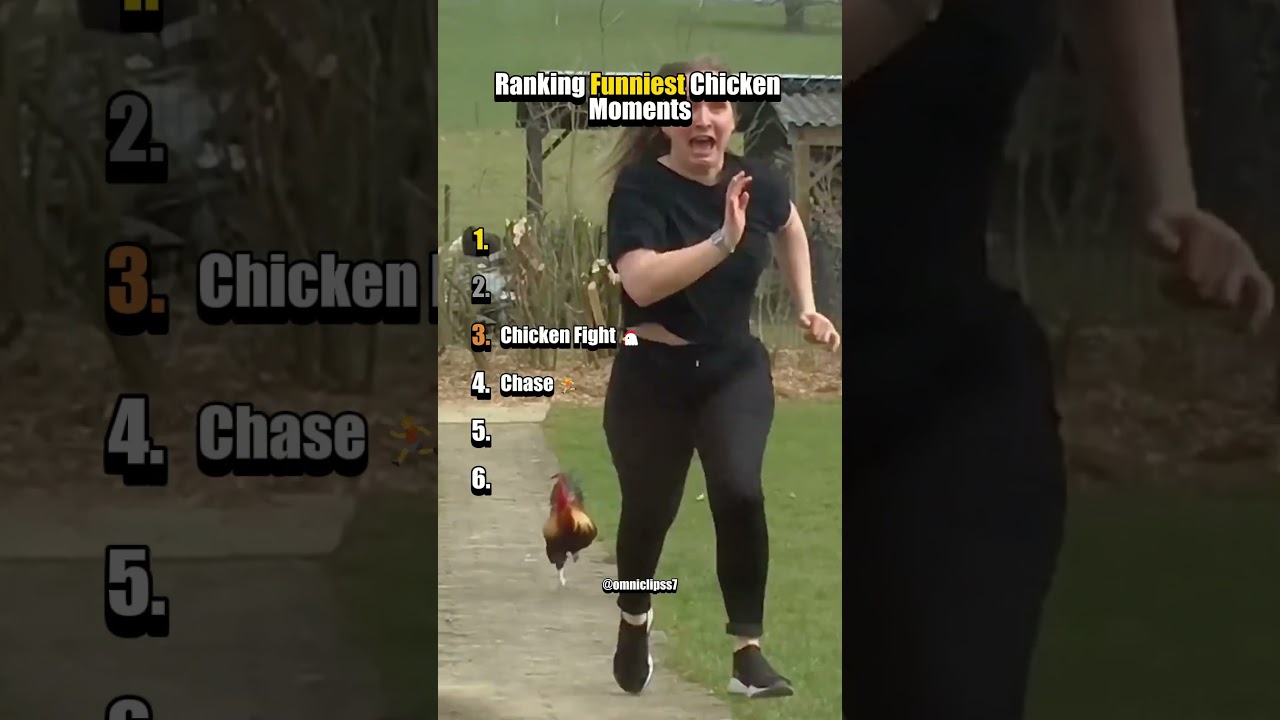 Ranking The Funniest Chicken Moments