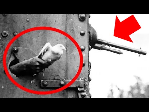 5 Secret Military Codes that have Never Been Solved