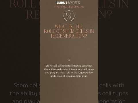What is the Role of Stem Cells in Regeneration? @Diarasacademy