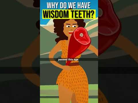 The MYSTERY of Wisdom Teeth !