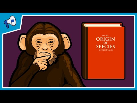 Does the Theory of Evolution Really Matter?