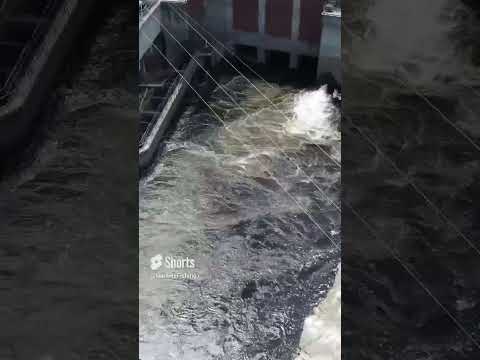 Androscoggin River Dam & Fishway