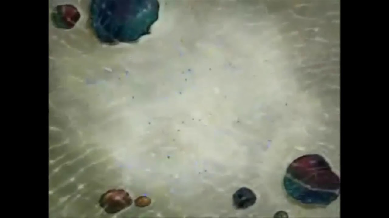 (Outdated) Spongebob Opposite Day title card