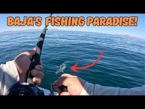 Bahia de Los Angeles: Epic Fishing and Stunning Scenery in Baja California (Ep: 18)