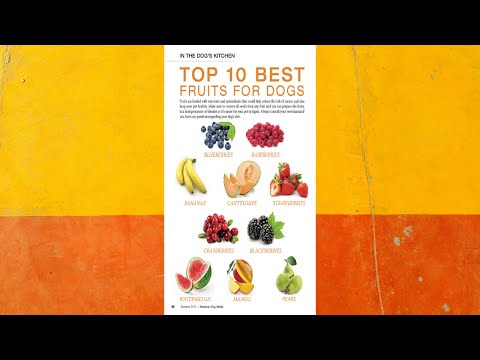 What Fruits Can Dogs Eat?🐶 top10 best Fruits Dogs Can Eat#DogFoodFirst