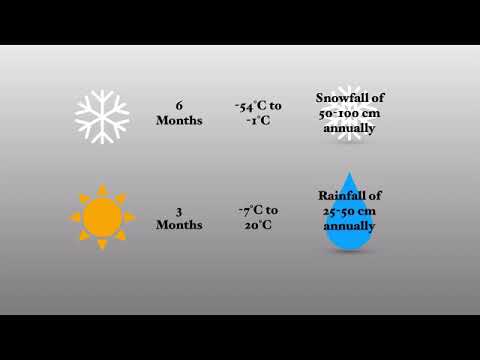 Climate of the Taiga Biome