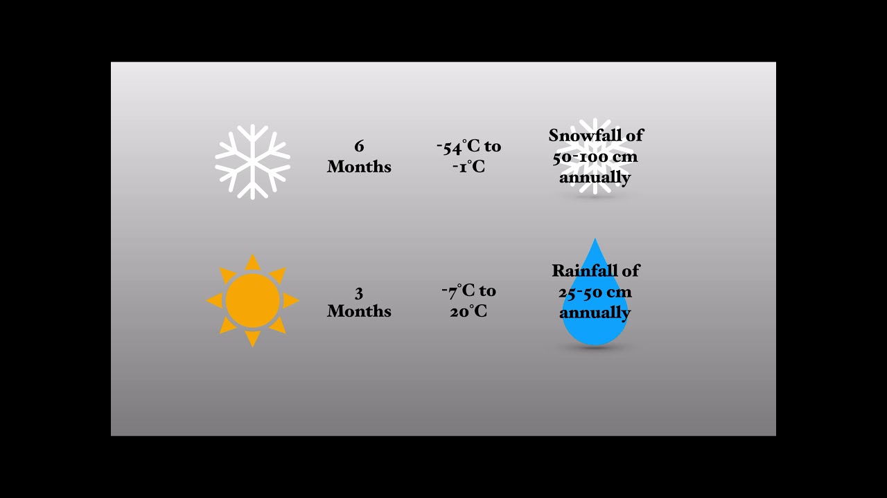 Climate of the Taiga Biome