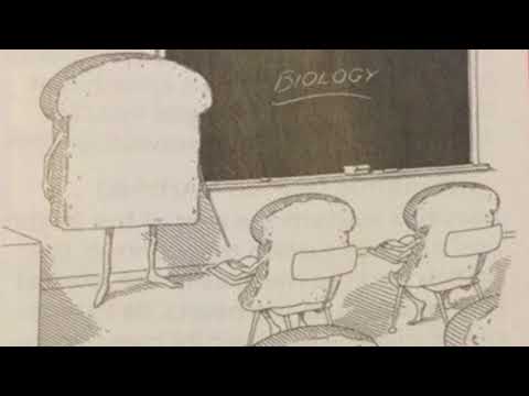 4 Parts of Cell Theory