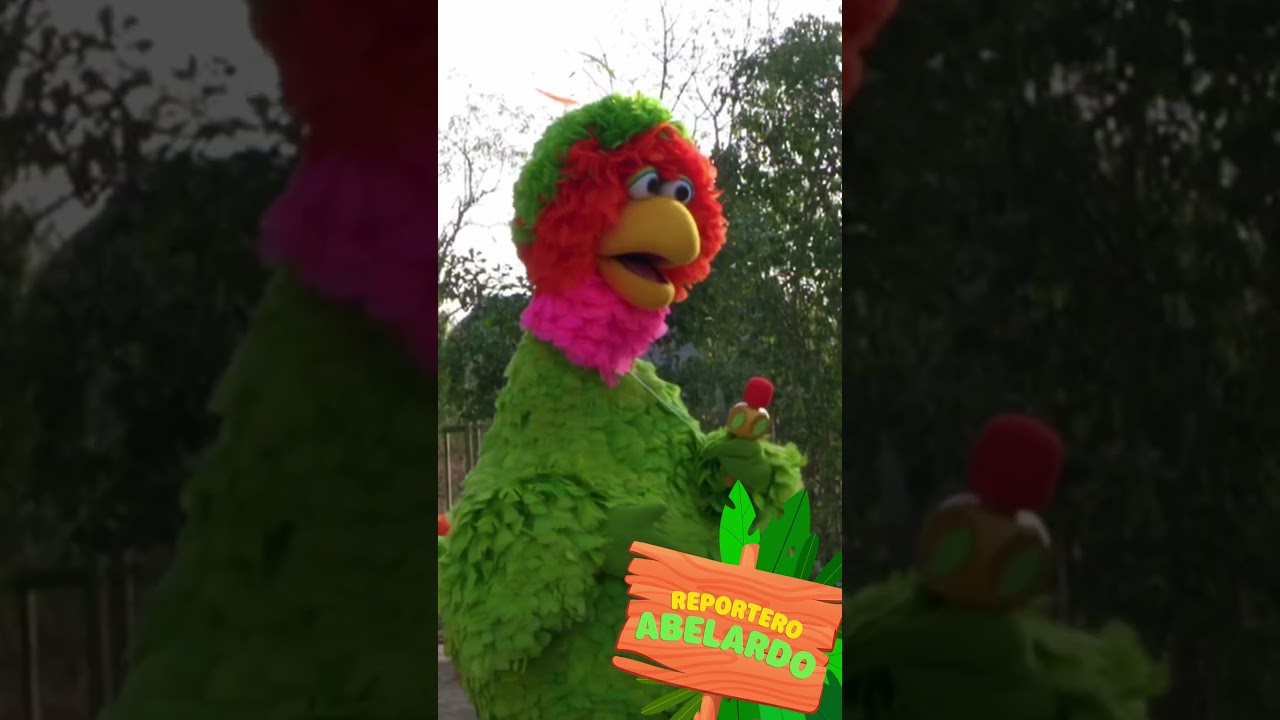 Plaza Sésamo: ¡El reportero Abelardo conoce la casa de benito! | Short