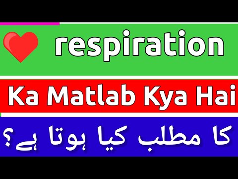 Respiration Meaning In Urdu | Respiration Ka Matlab Kya Hota Hai | Respiration Ka Matlab Kya Hai