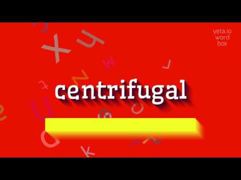 How to say "centrifugal"! (High Quality Voices)