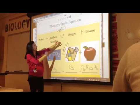 Photosynthesis 1: The Equation