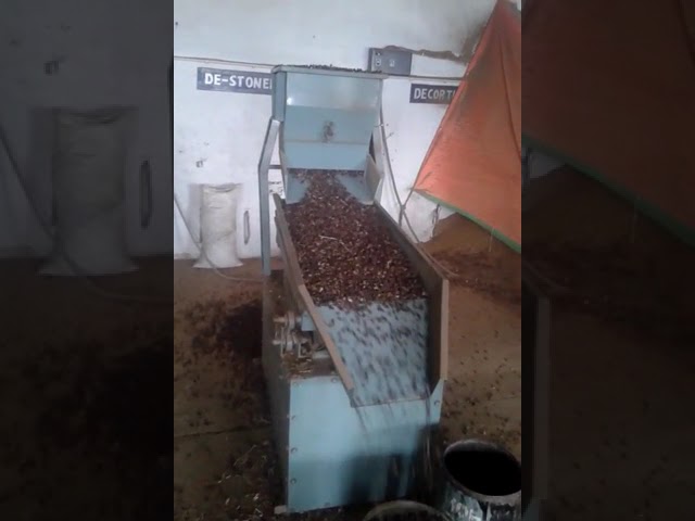 Destoners with Aspirator - Destoner with Aspirator Manufacturer from Nagpur