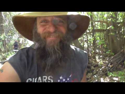 INSANE MOREL MUSHROOM HUNT