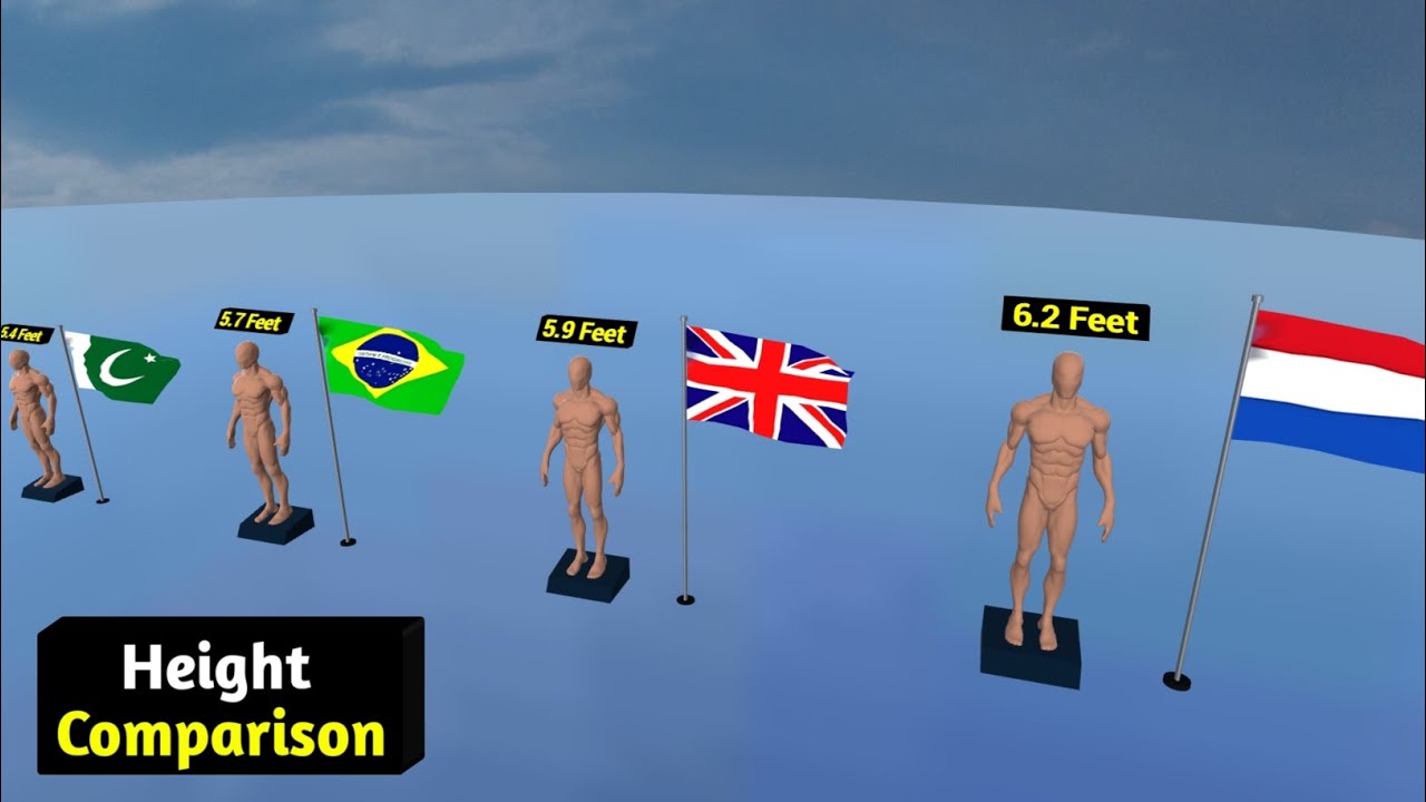 Average Human Height By Country | 3D Comparison