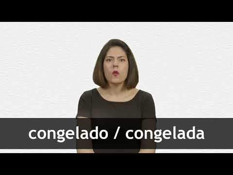 English Translation of “CONGELADO” | Collins Spanish-English Dictionary