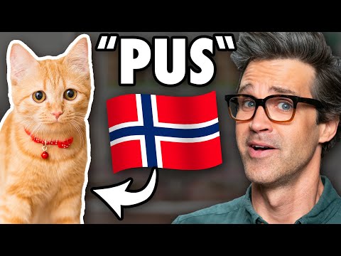 What Do These Pet Names Mean?