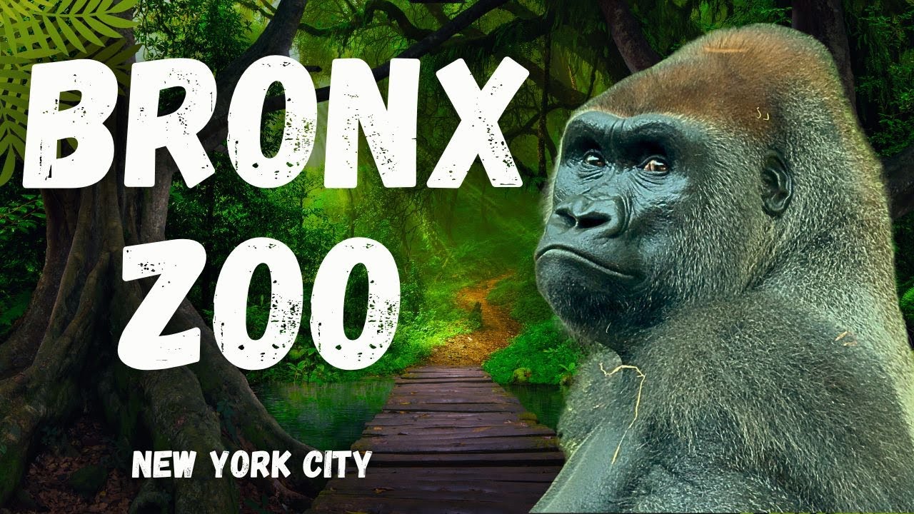 Bronx Zoo Full Tour | Amazing Animals & Wildlife in New York