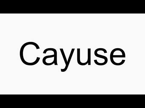 How to pronounce Cayuse